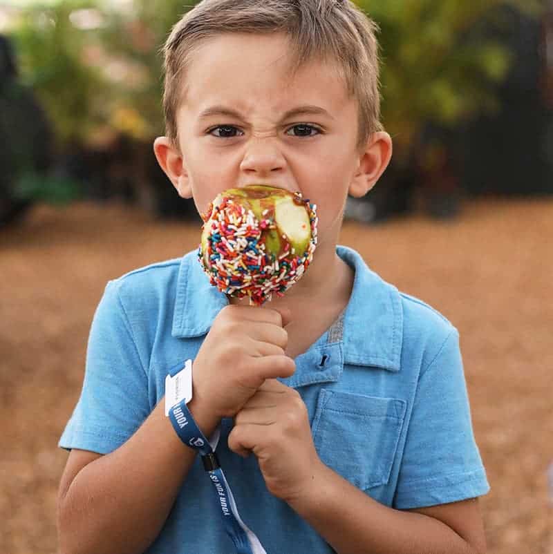 Florida State Fairgrounds Events Calendar
