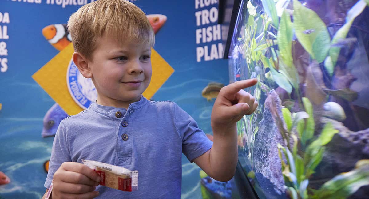 Florida State Fairgrounds Tampa | 2027 Fair Feb 4-15