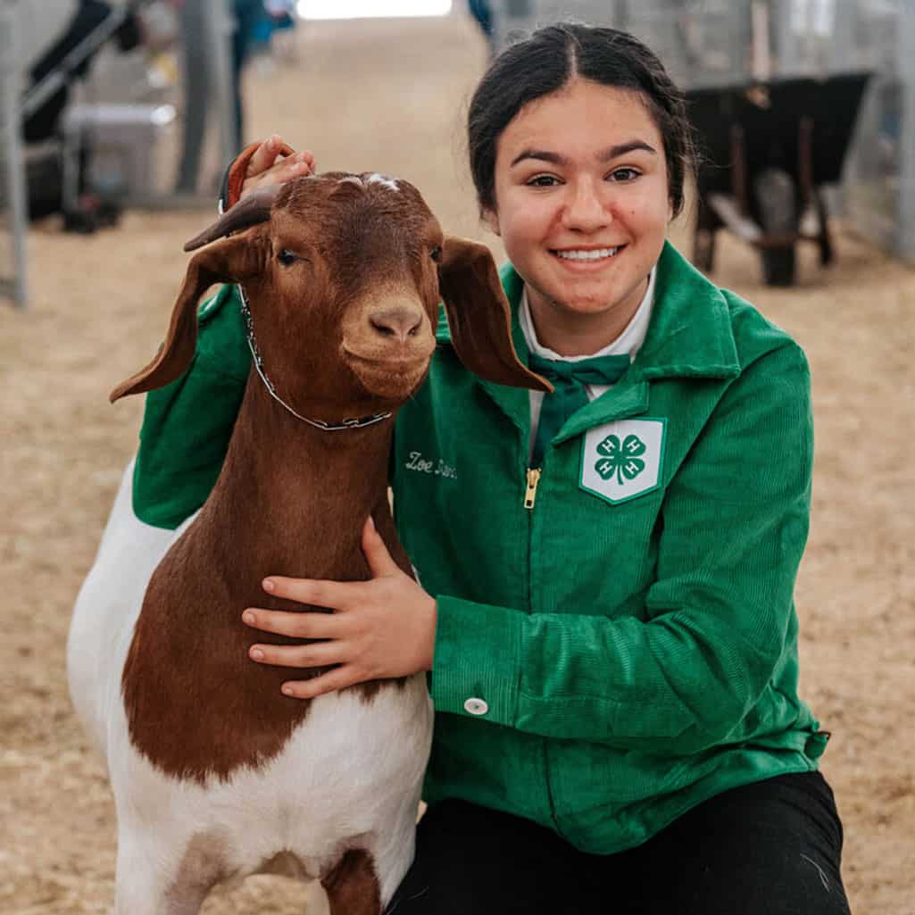 2026 Boer Goat Show Information - Florida State Fair