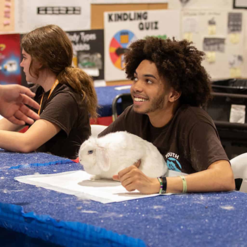 2026 Rabbit Show Information - Florida State Fair